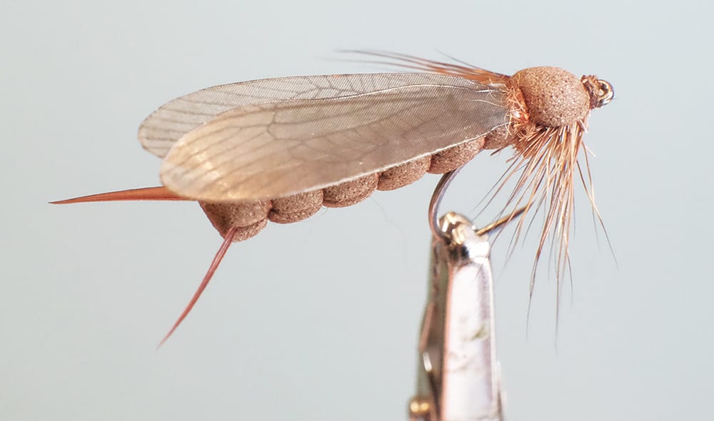 Steenvlieg - Hooked on Flyfishing